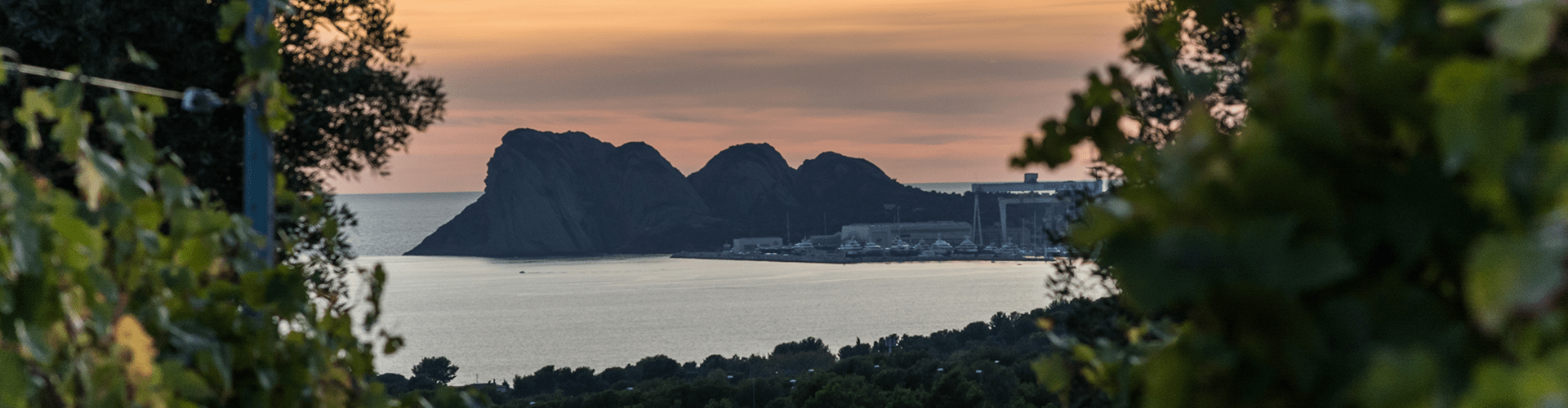 Appellation Bandol - Terroir - Climat - Cépages - Moulin de la Roque